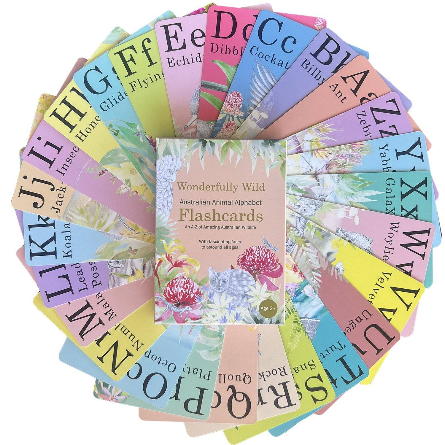 Wonderfully Wild - Australian Animal Alphabet Flashcards – her name was ...