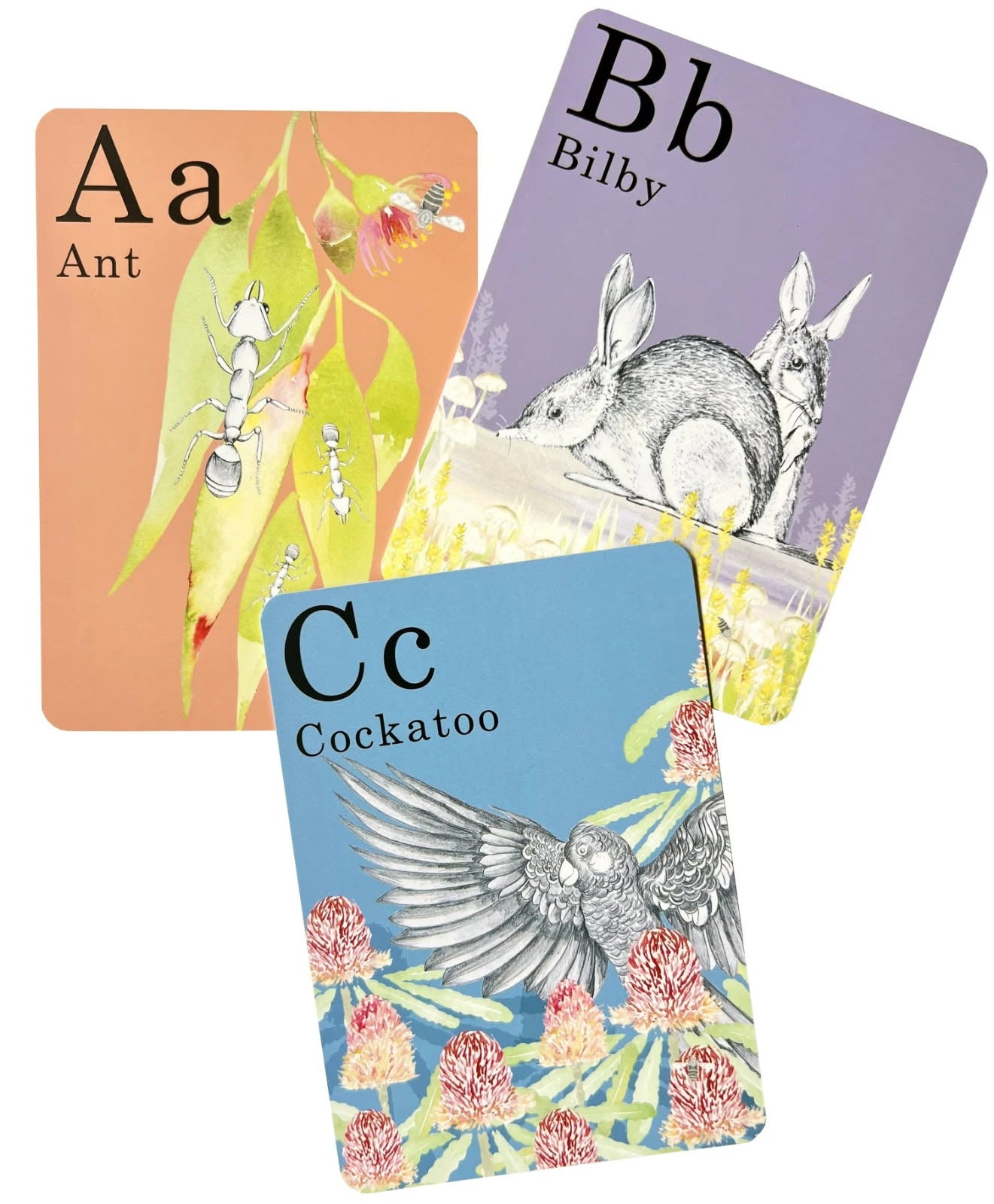 Wonderfully Wild - Australian Animal Alphabet Flashcards – her name was ...